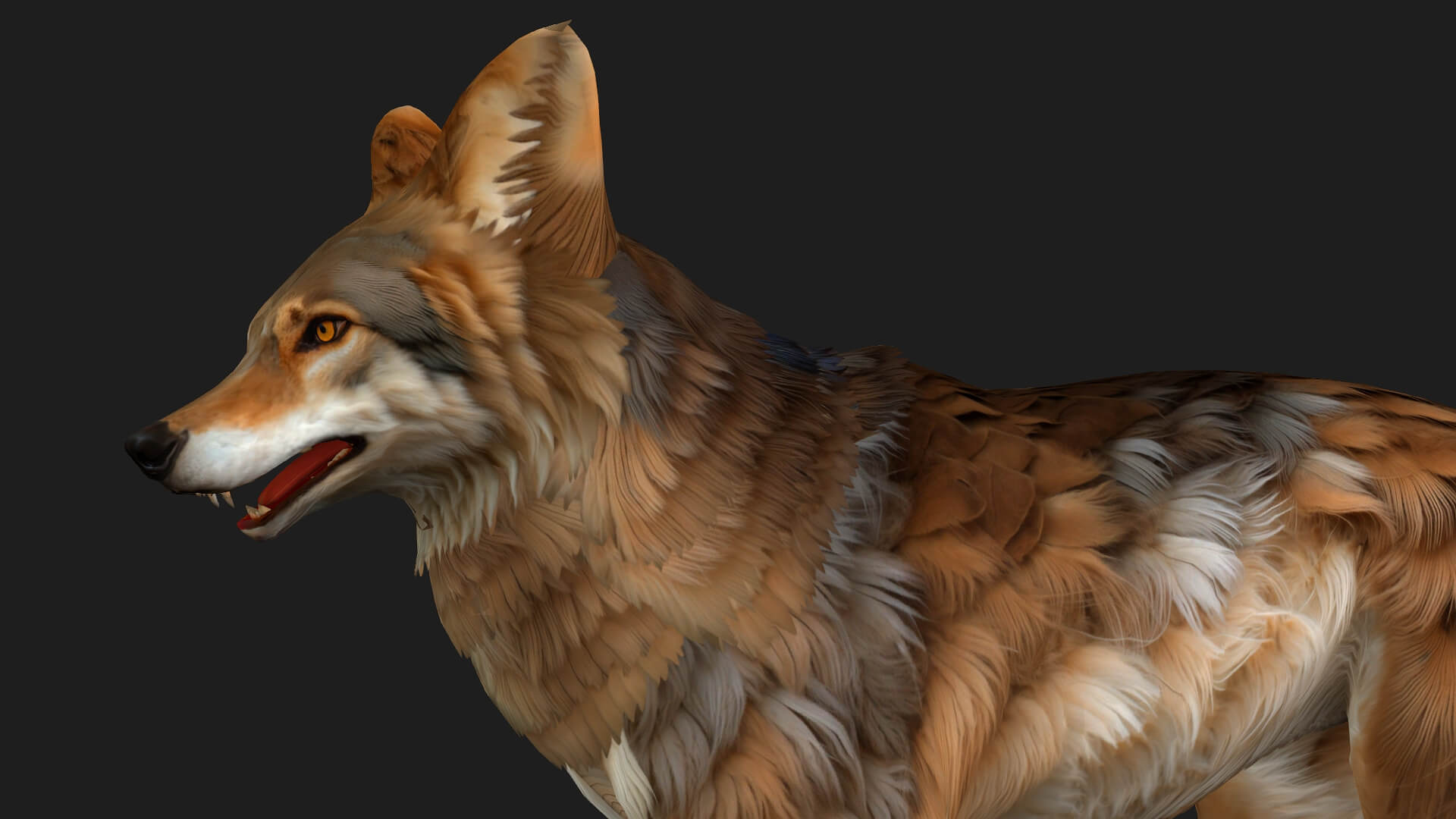 Wolf-A2-Animated 3D Animation by Animated3d