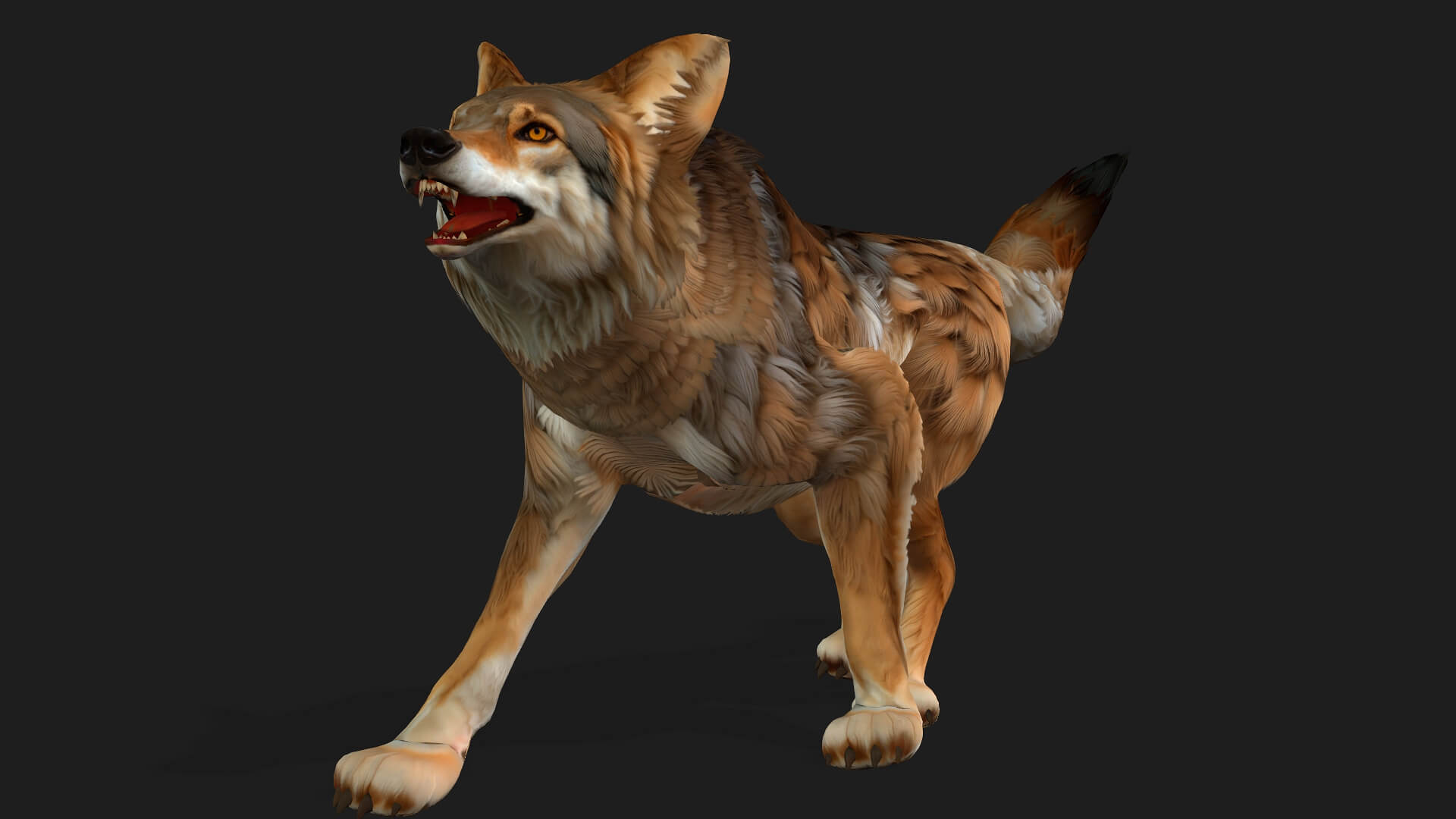 Wolf-A2-Animated 3D Animation by Animated3d