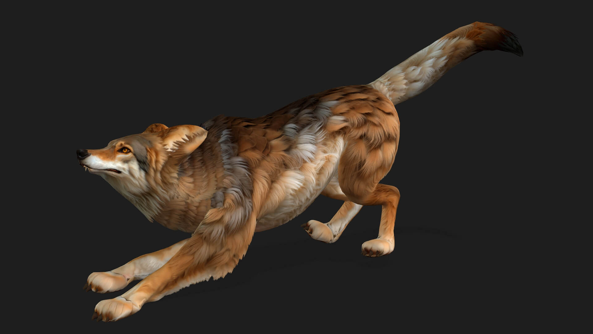 Wolf-A2-Animated 3D Animation by Animated3d