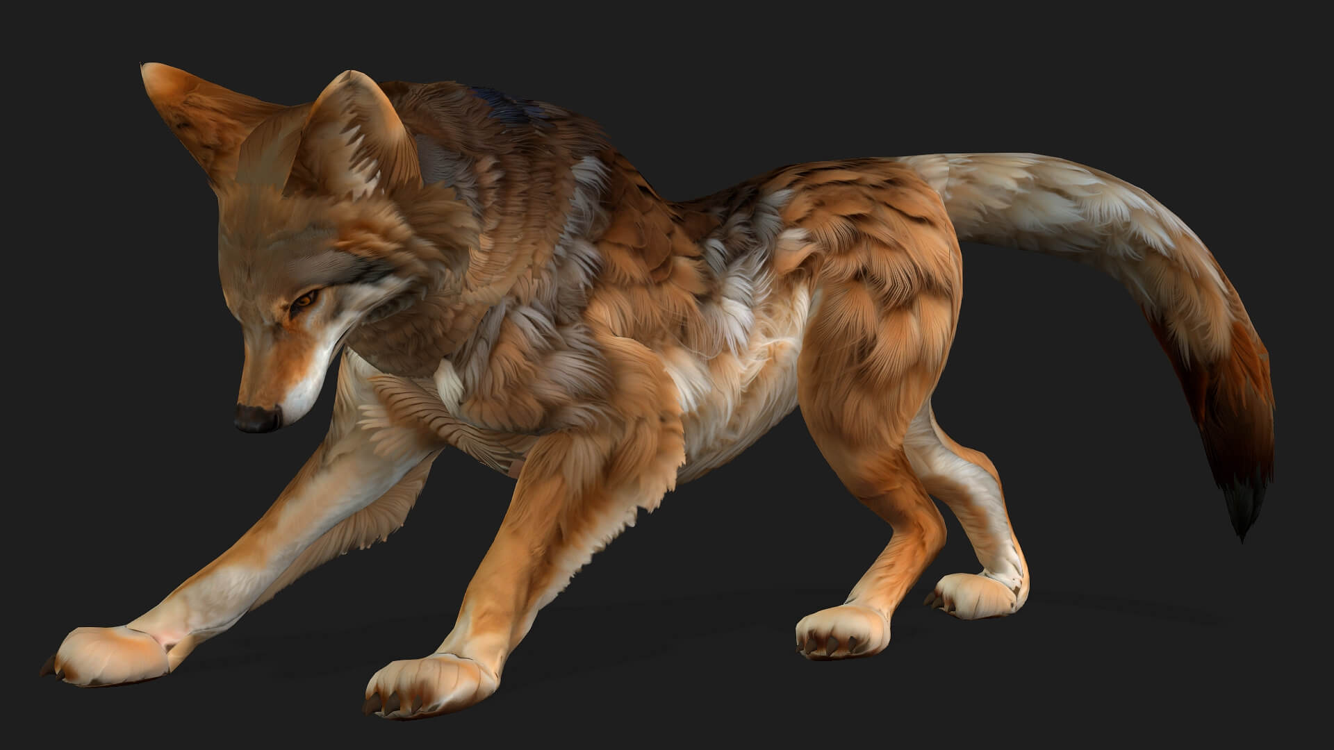 Wolf-A2-Animated 3D Animation by Animated3d