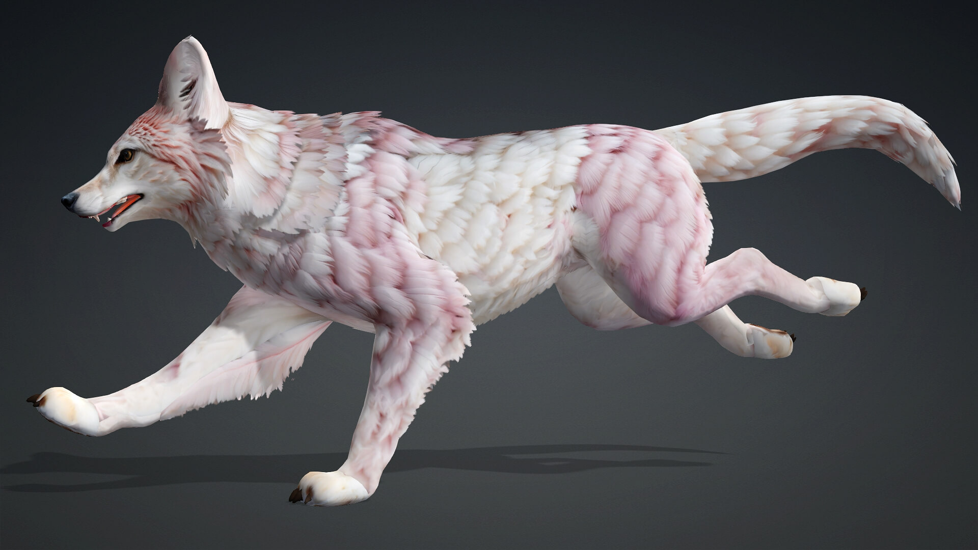 Wolf-A3-Animated 3D Animation by Animated3d