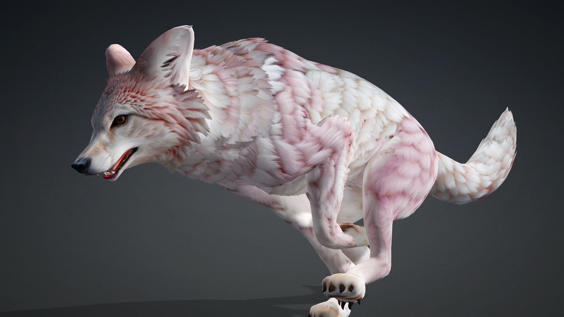 Wolf-A3-Animated 3D Animation by Animated3d