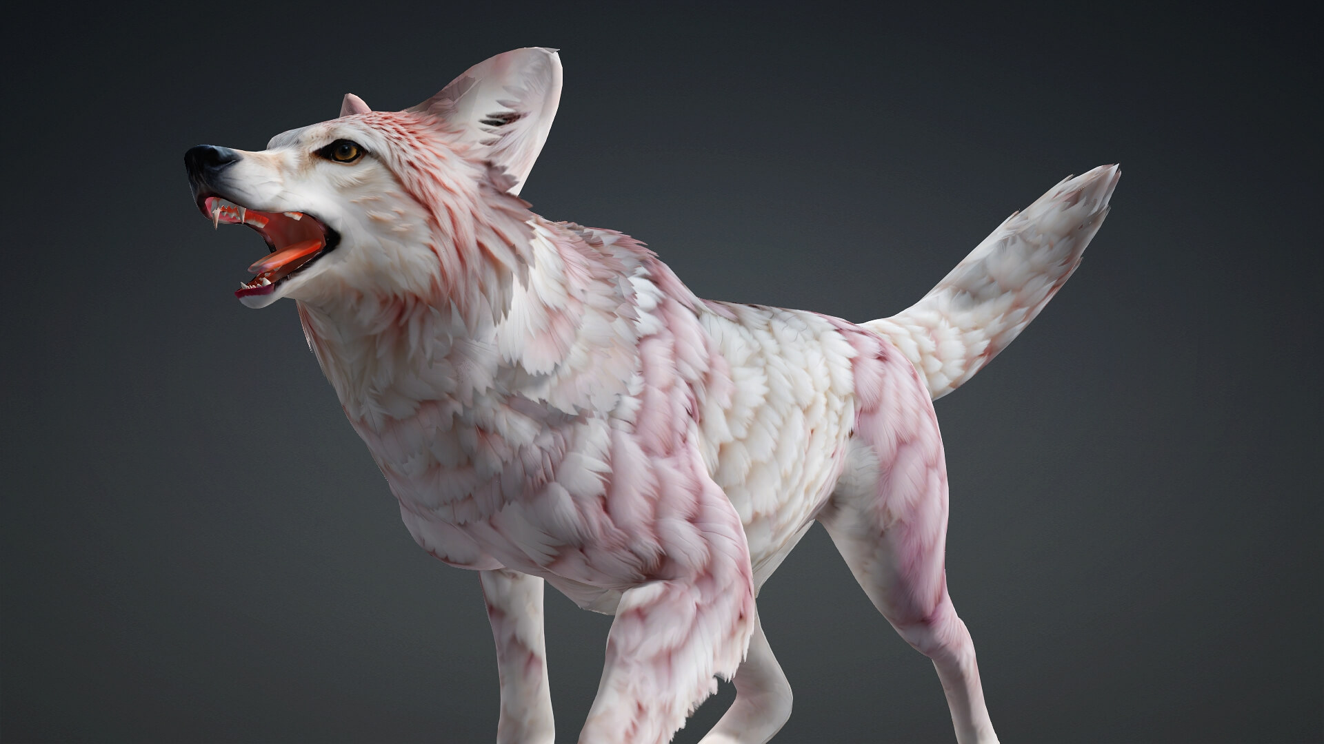 Wolf-A3-Animated 3D Animation by Animated3d