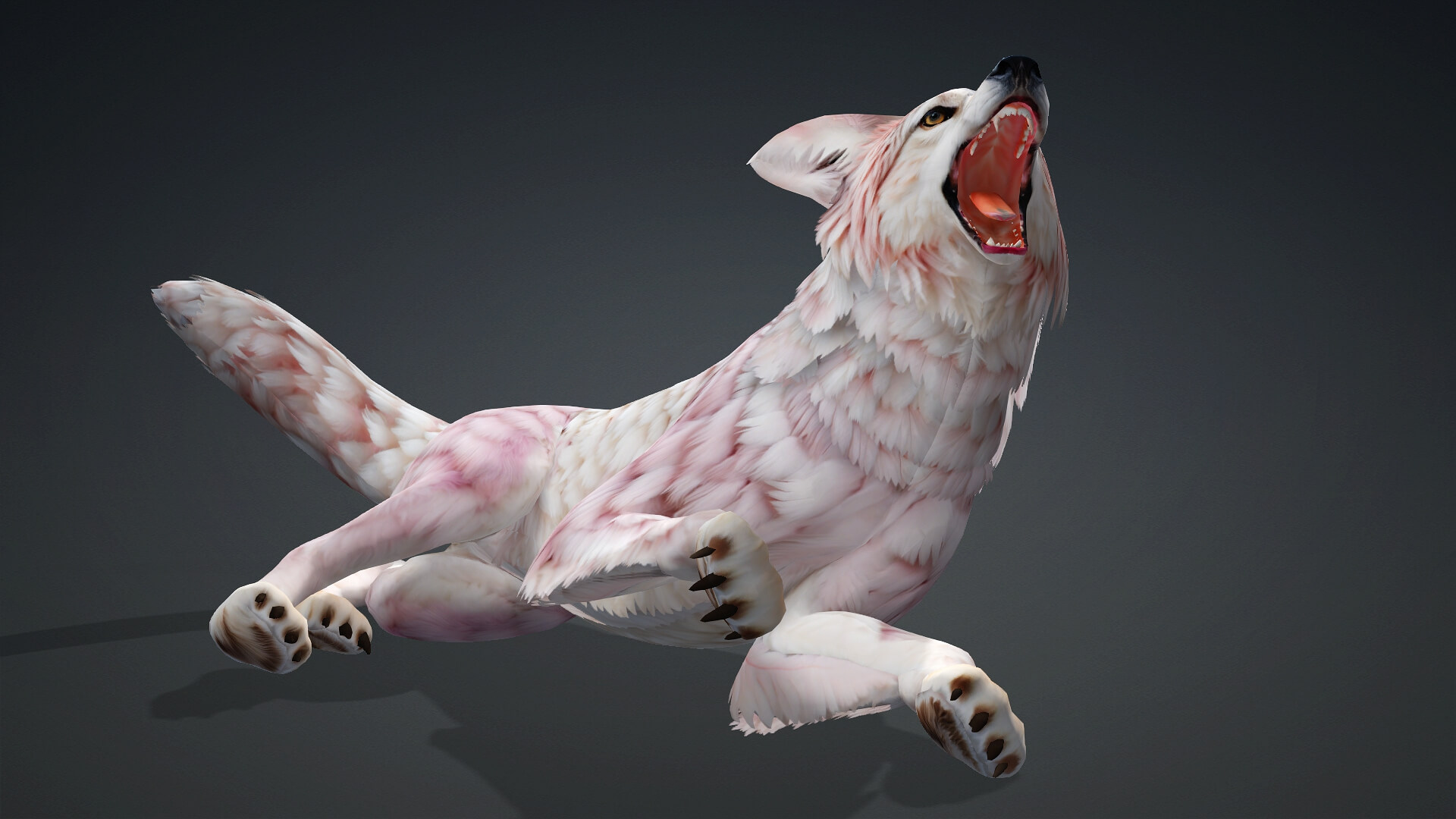 Wolf-A3-Animated 3D Animation by Animated3d