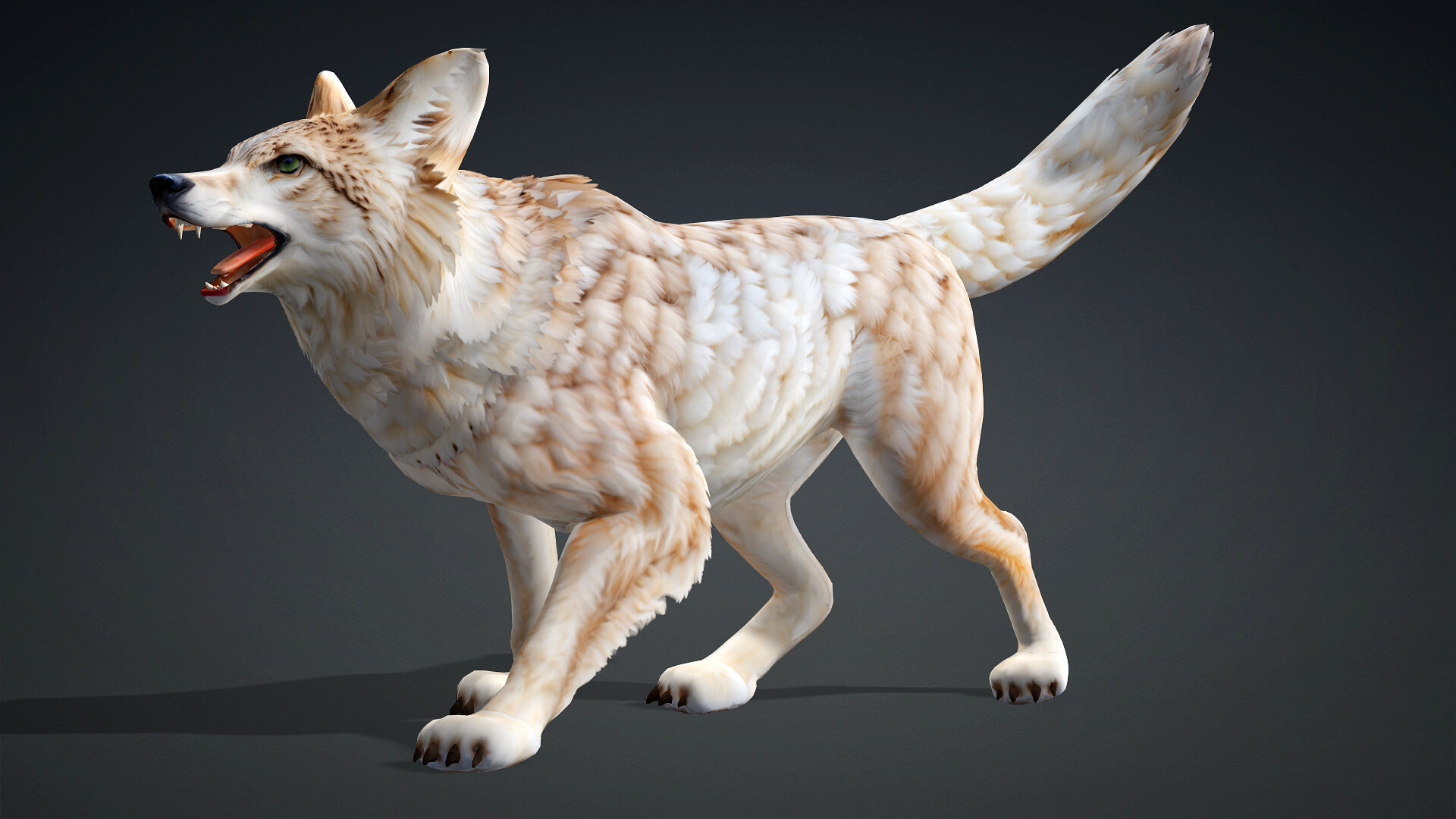 Wolf-A4-Animated 3D Animation by Animated3d