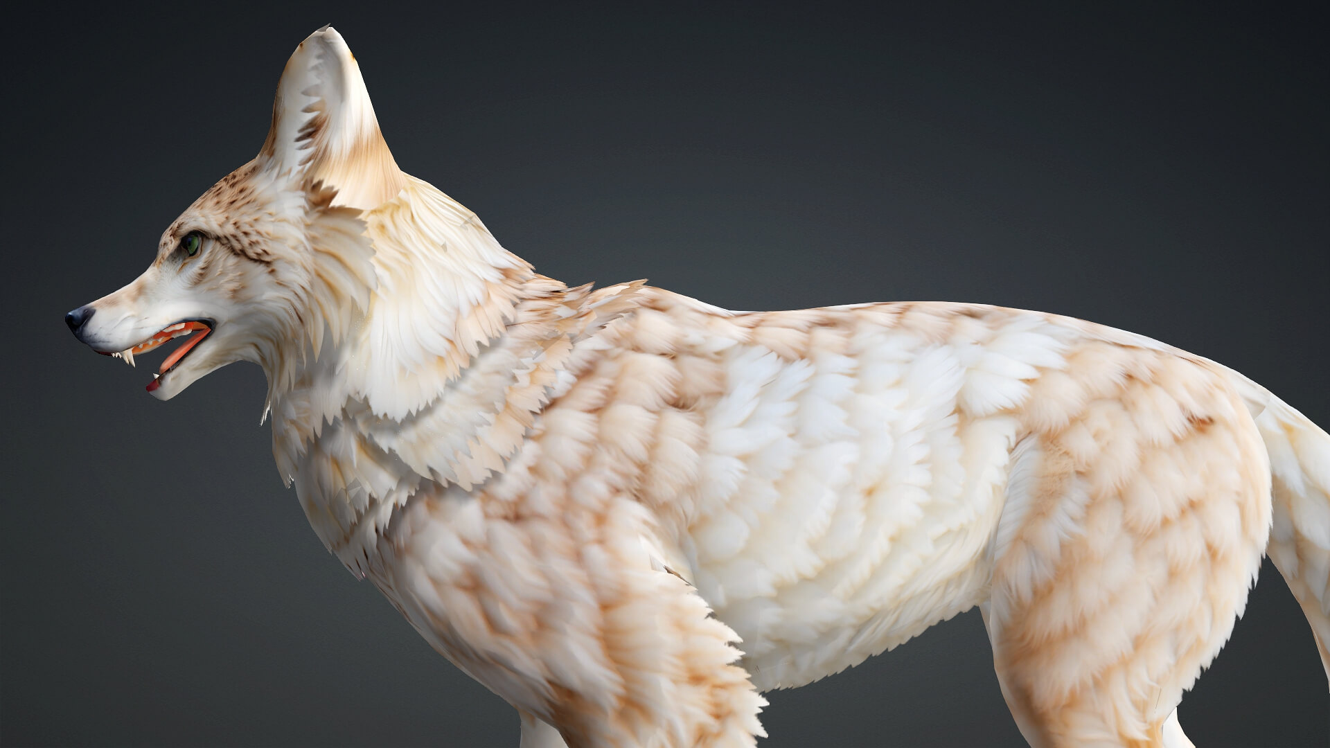 Wolf-A4-Animated 3D Animation by Animated3d