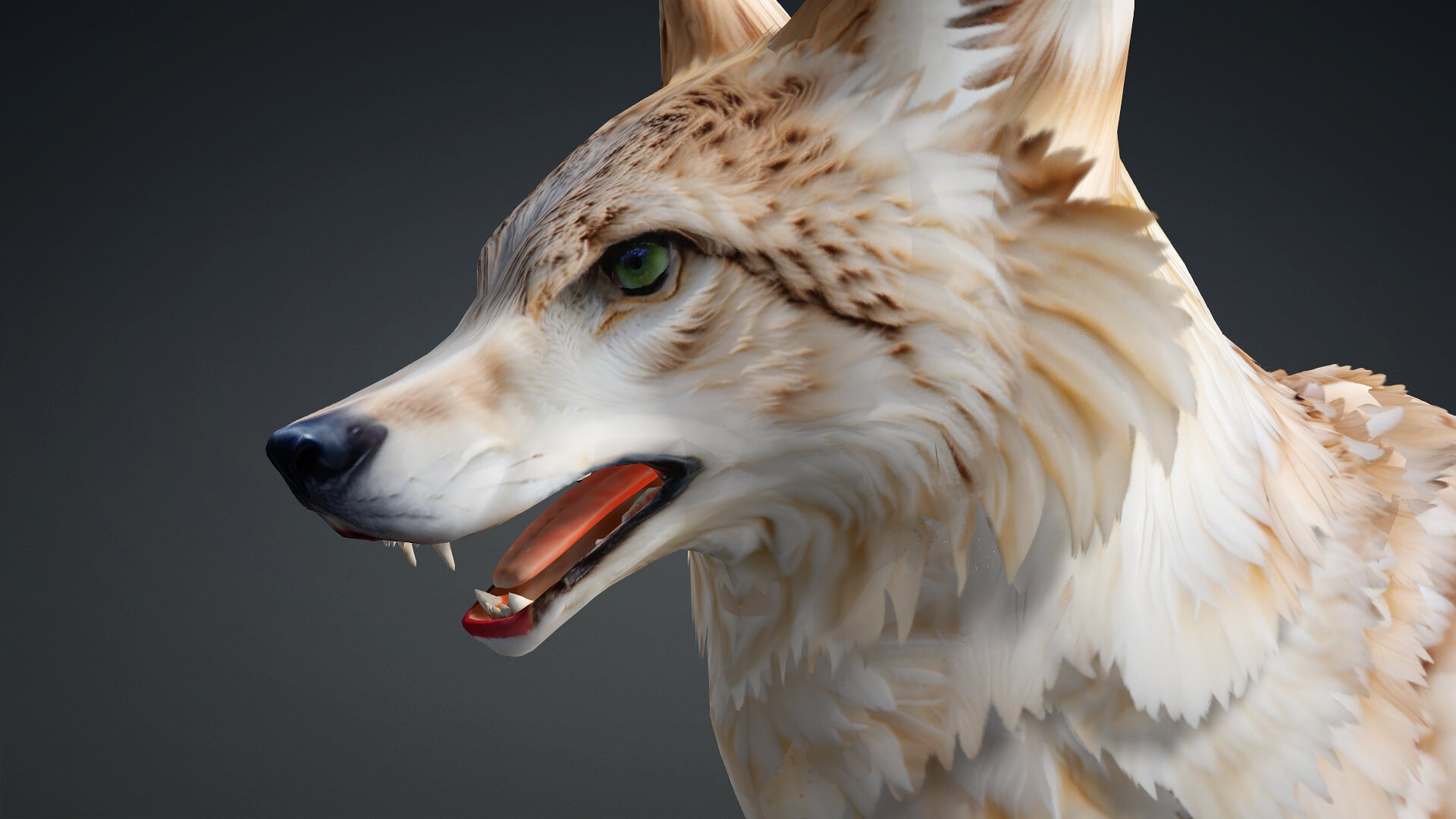 Wolf-A4-Animated 3D Animation by Animated3d