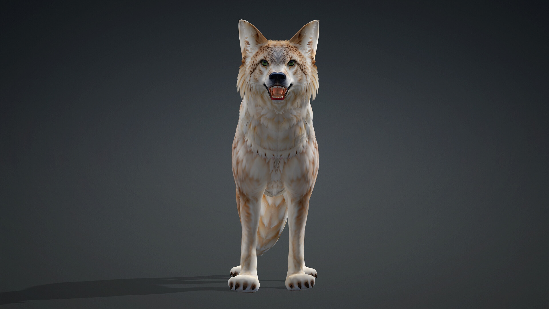 Wolf-A4-Animated 3D Animation by Animated3d