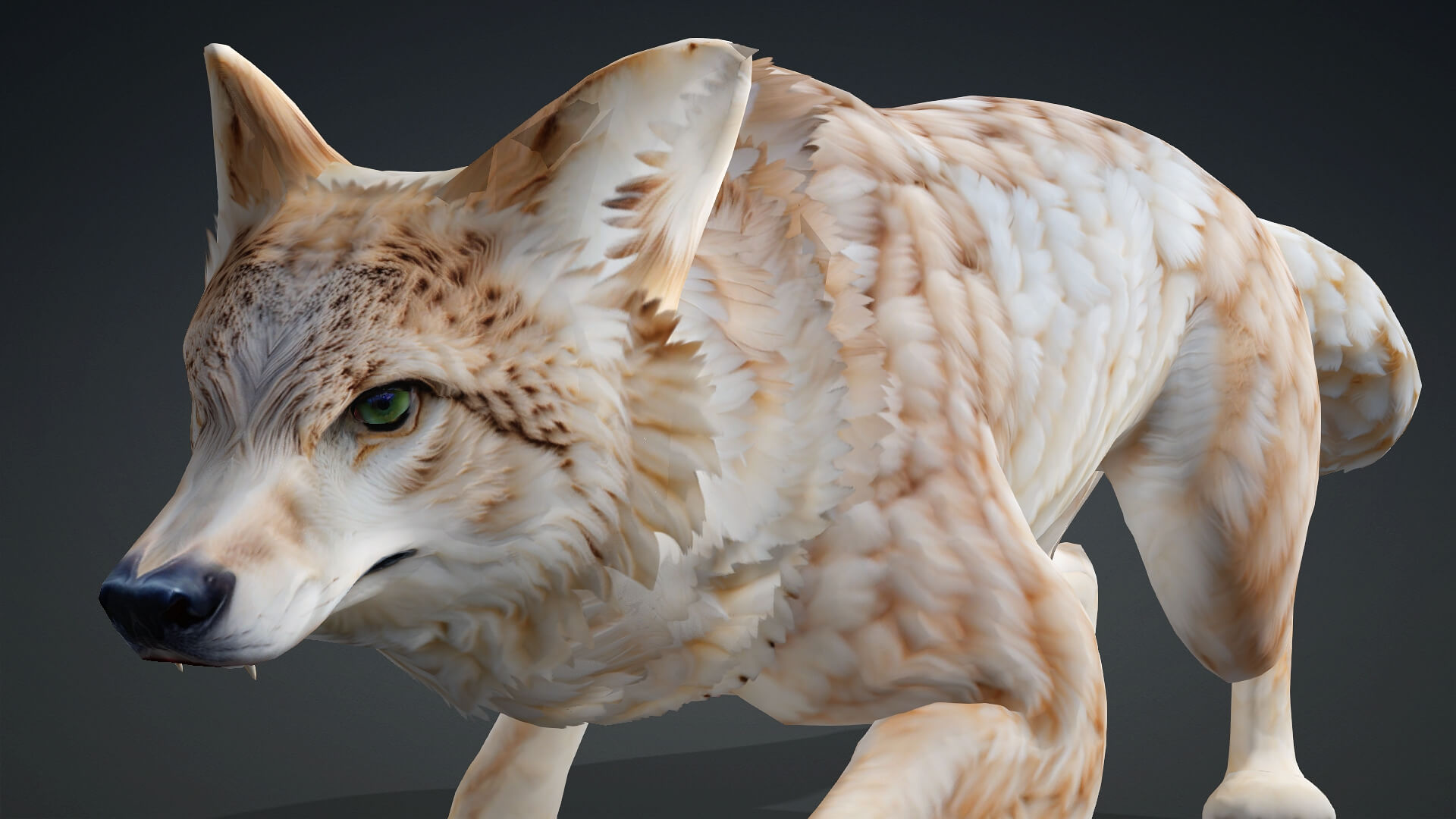 Wolf-A4-Animated 3D Animation by Animated3d