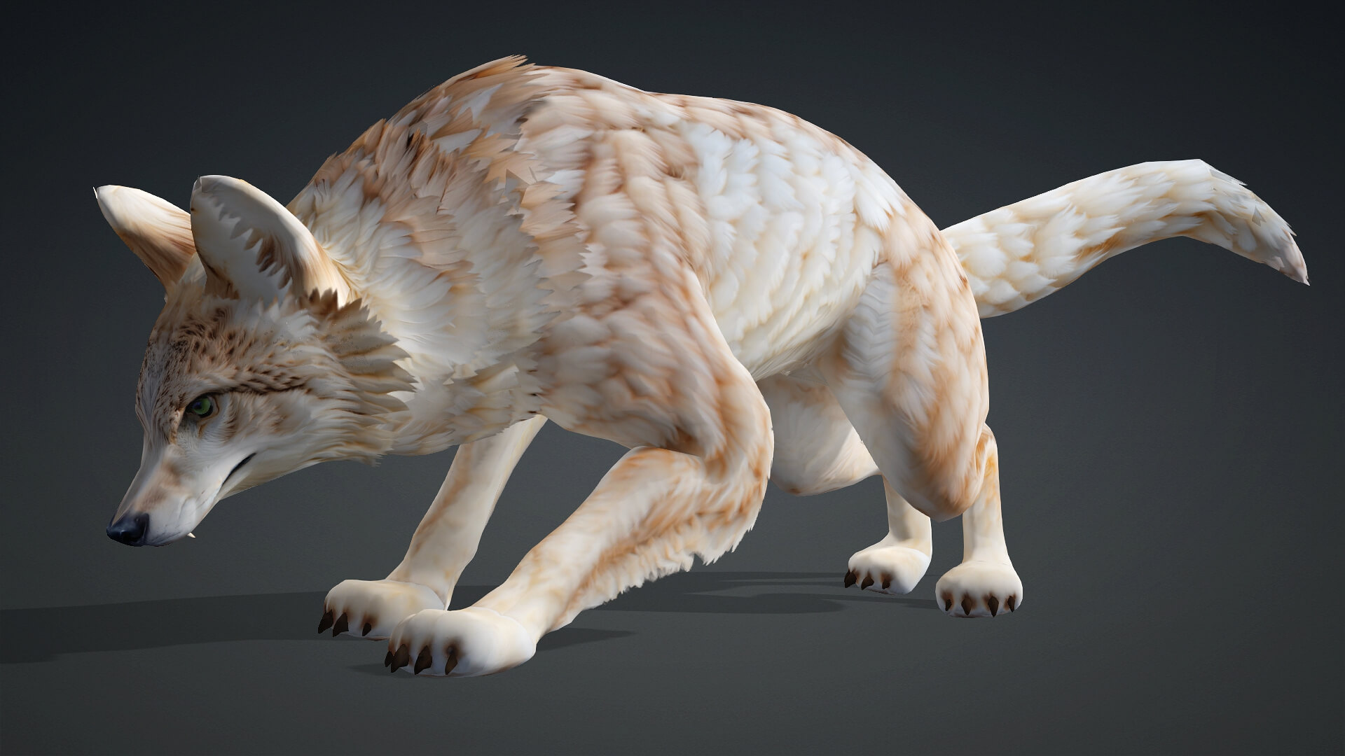 Wolf-A4-Animated 3D Animation by Animated3d