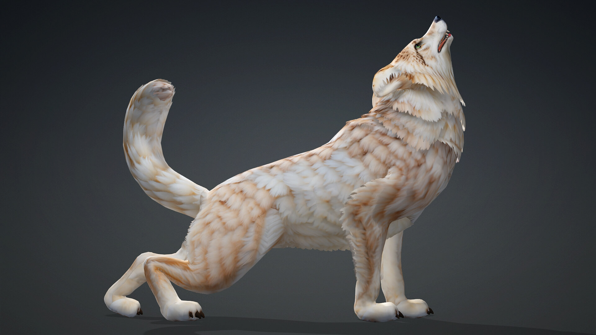 Wolf-A4-Animated 3D Animation by Animated3d