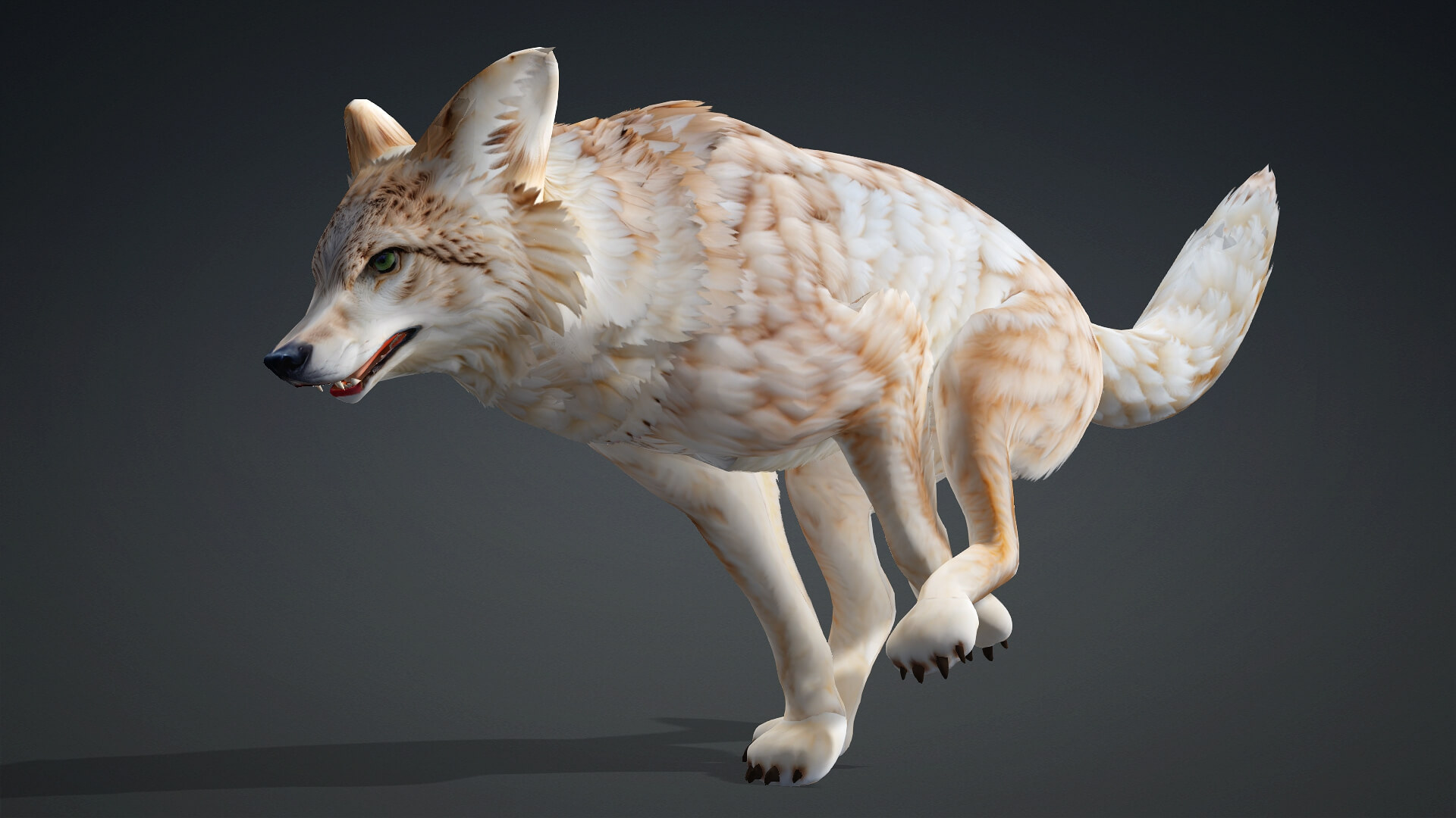 Wolf-A4-Animated 3D Animation by Animated3d