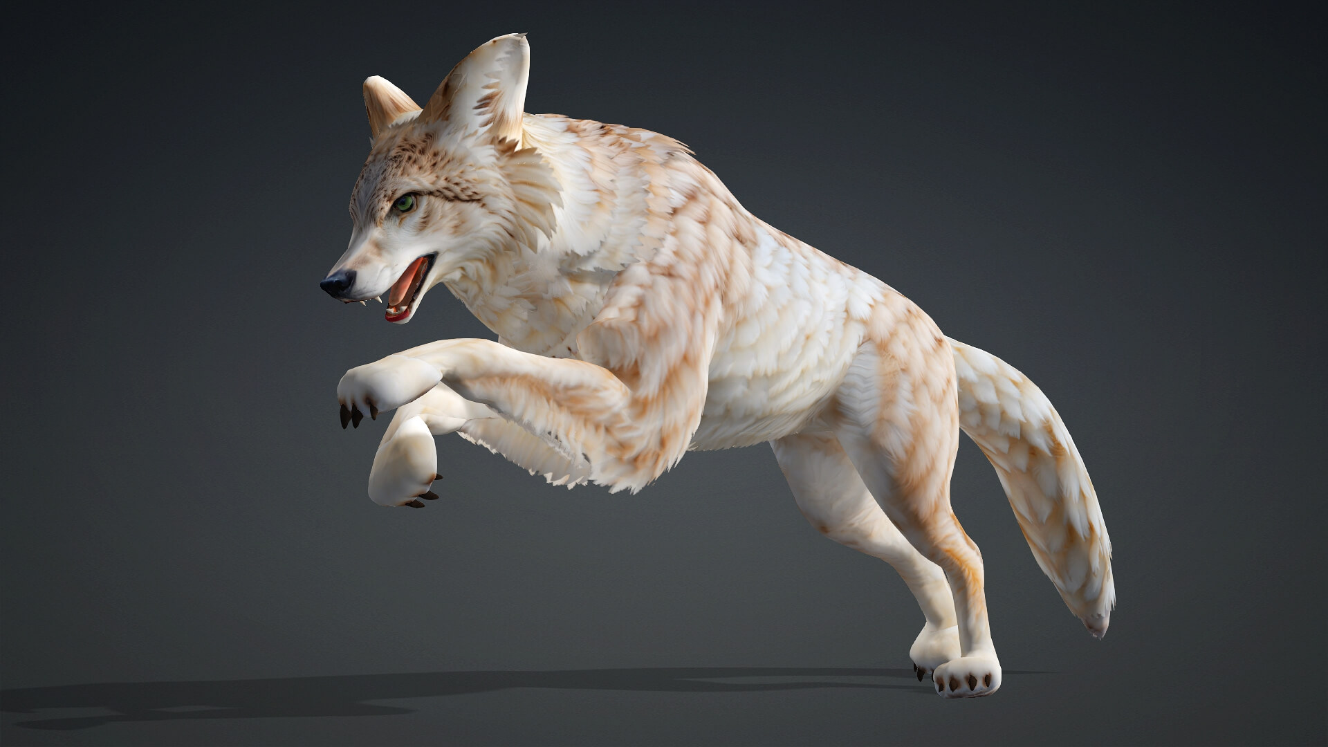 Wolf-A4-Animated 3D Animation by Animated3d