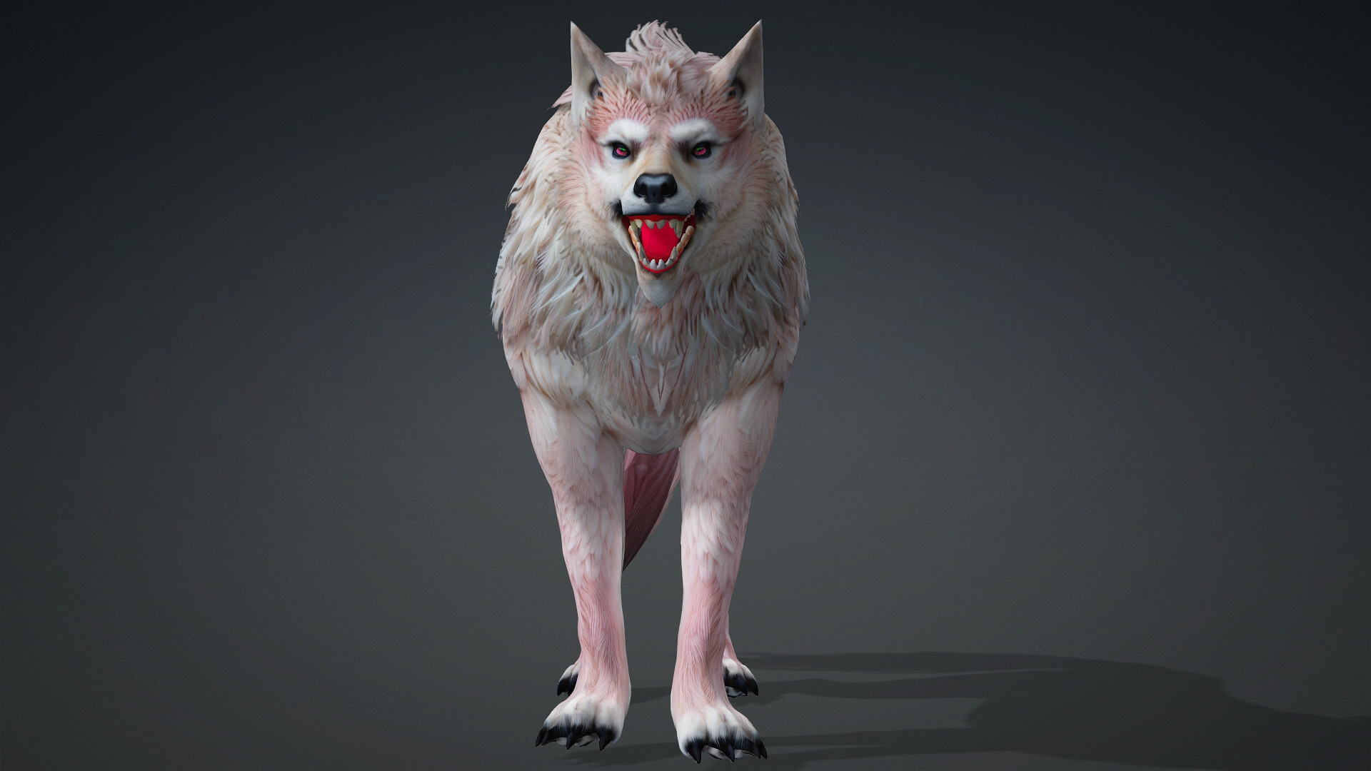 Wolf-B1-Animated 3D Animation by Animated3d