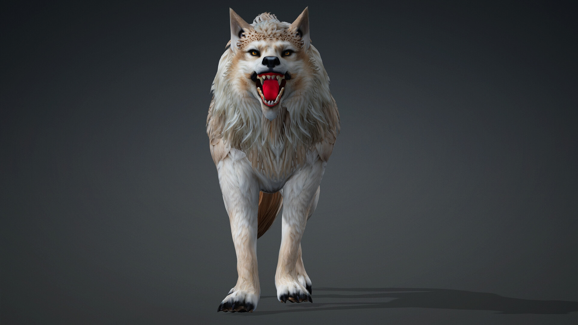 Wolf-B2-Animated 3D Animation by Animated3d