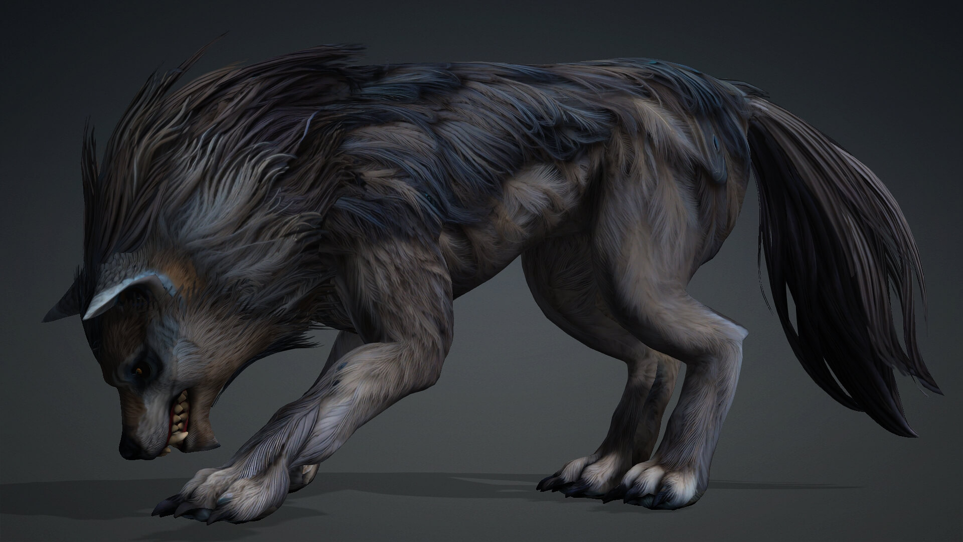 Wolf-B5-Animated 3D Animation by Animated3d