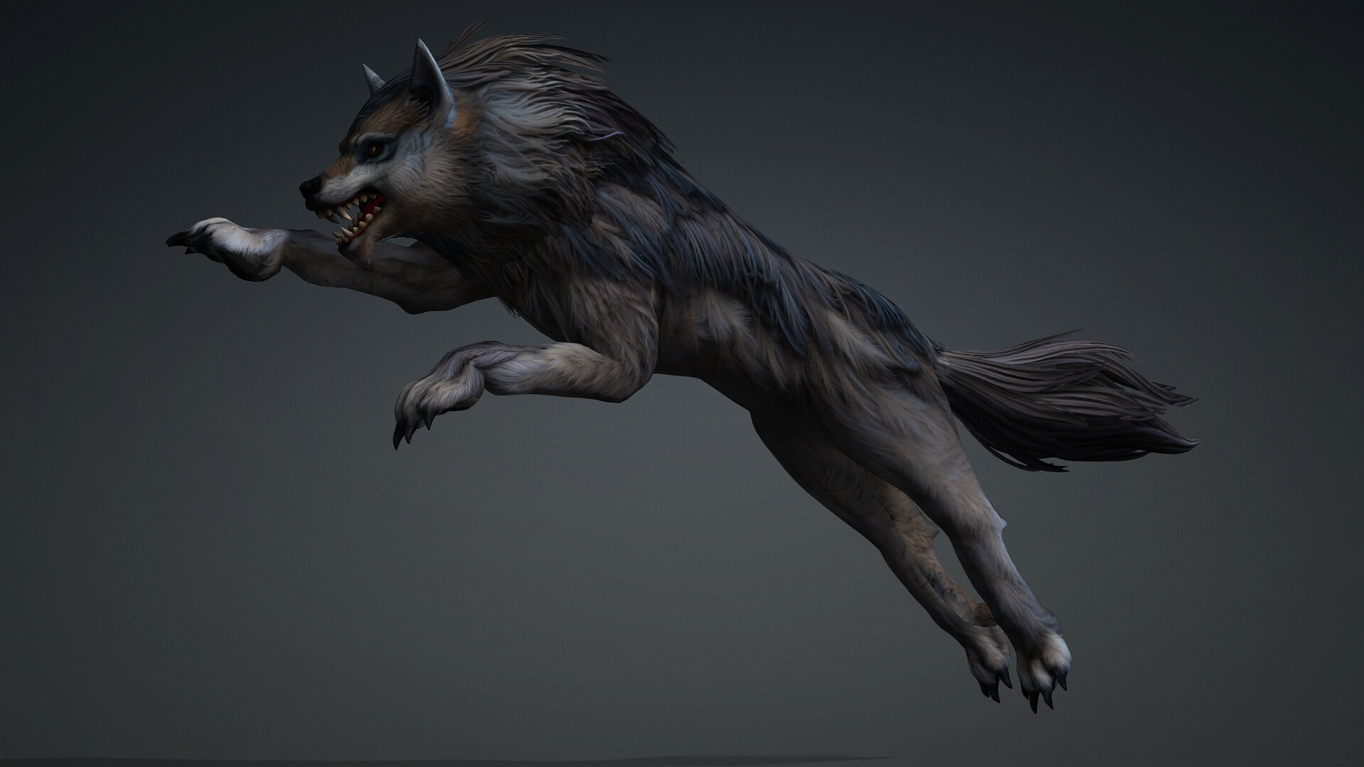Wolf-B5-Animated 3D Animation by Animated3d