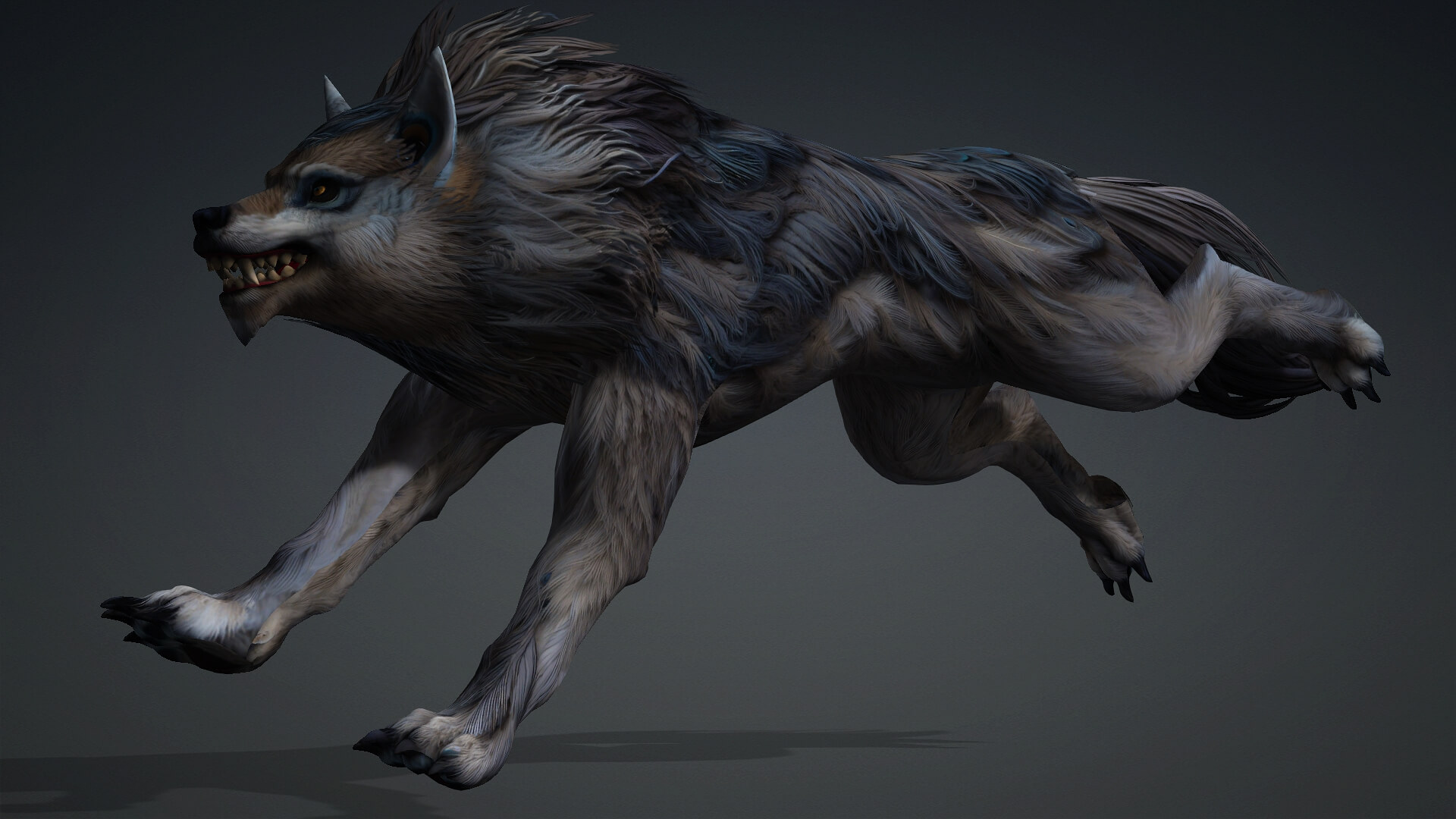 Wolf-B5-Animated 3D Animation by Animated3d