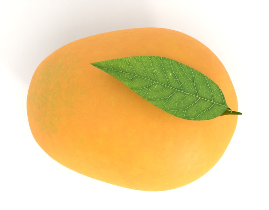 Mango PBR 3d Model by animatedheaven