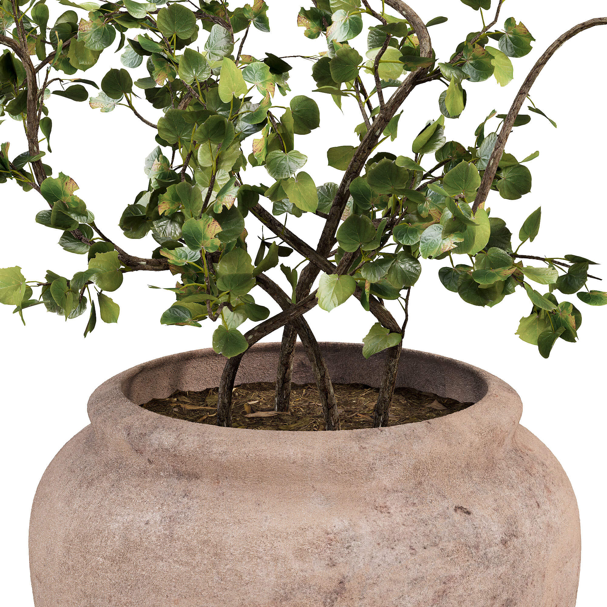 Faux Potted Wire Netting Bush Plant - 3D Model by AnimixStudio