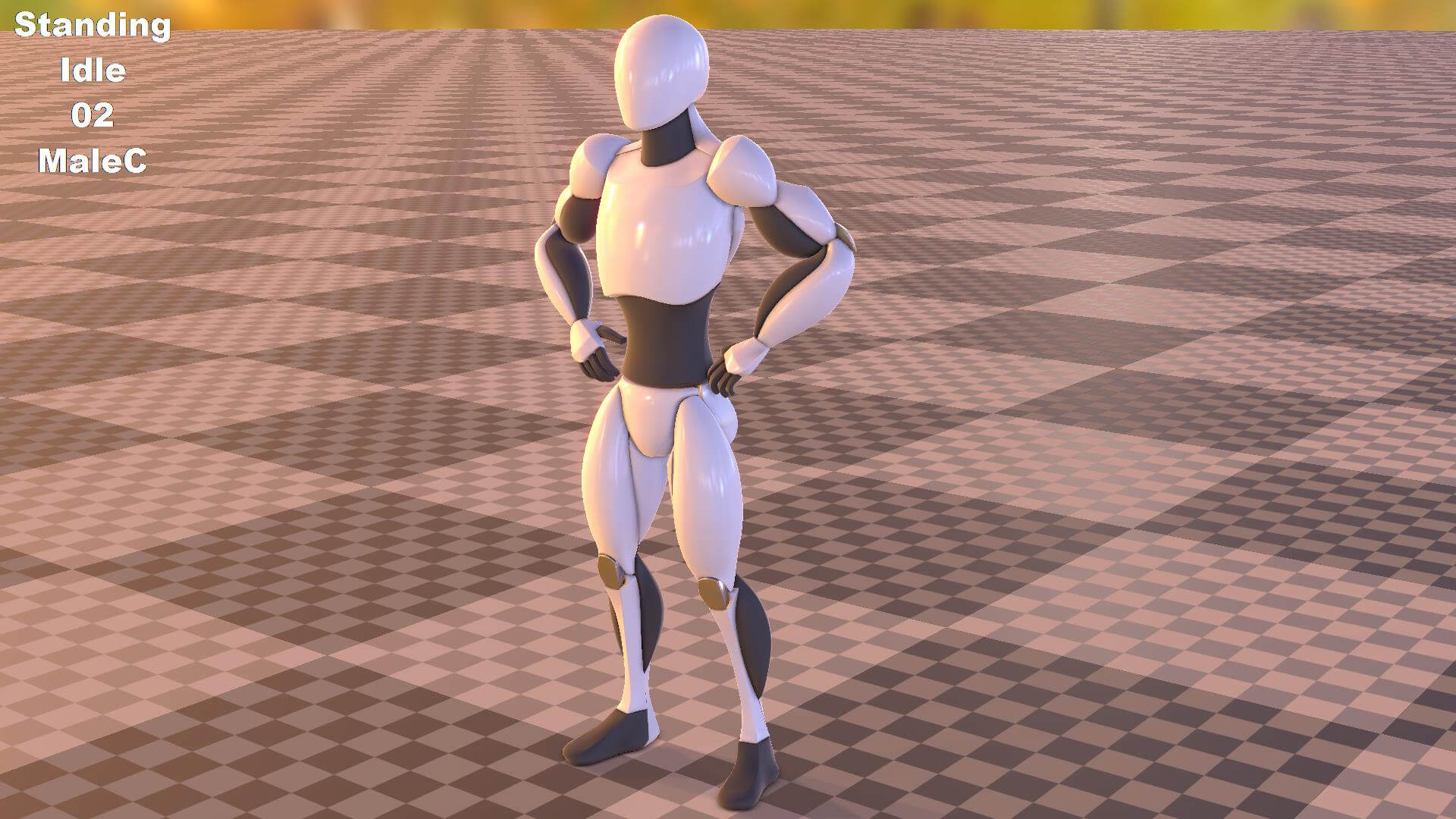 Animo Mocap Basic Standing - 3D Animation by animo