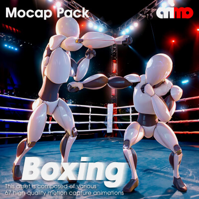 Animo Mocap Boxing - 3D Animation by animo