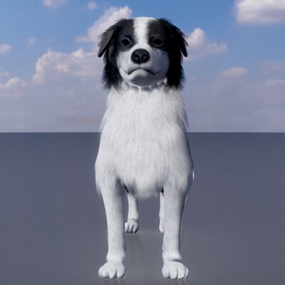 Border Collie Bordernese Dog - 3D Model by animod
