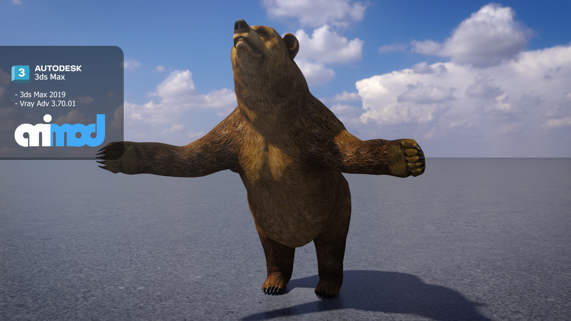 Brown Bear Animal - 3D Model by animod