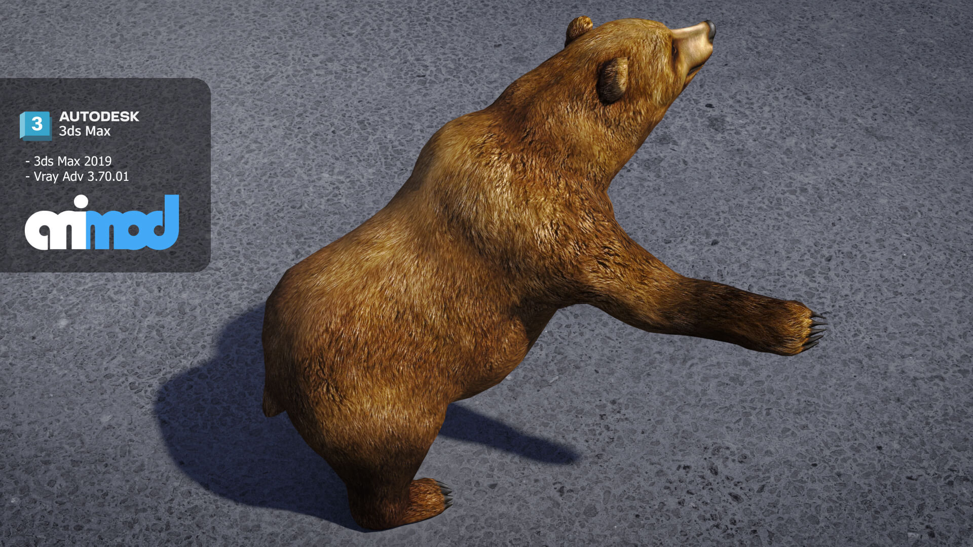 Brown Bear Animal - 3D Model by animod