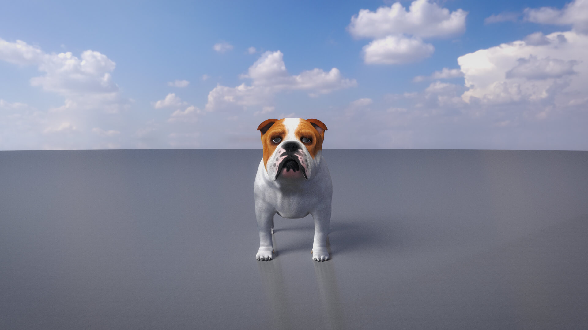 Bulldog Animal - 3D Model by animod