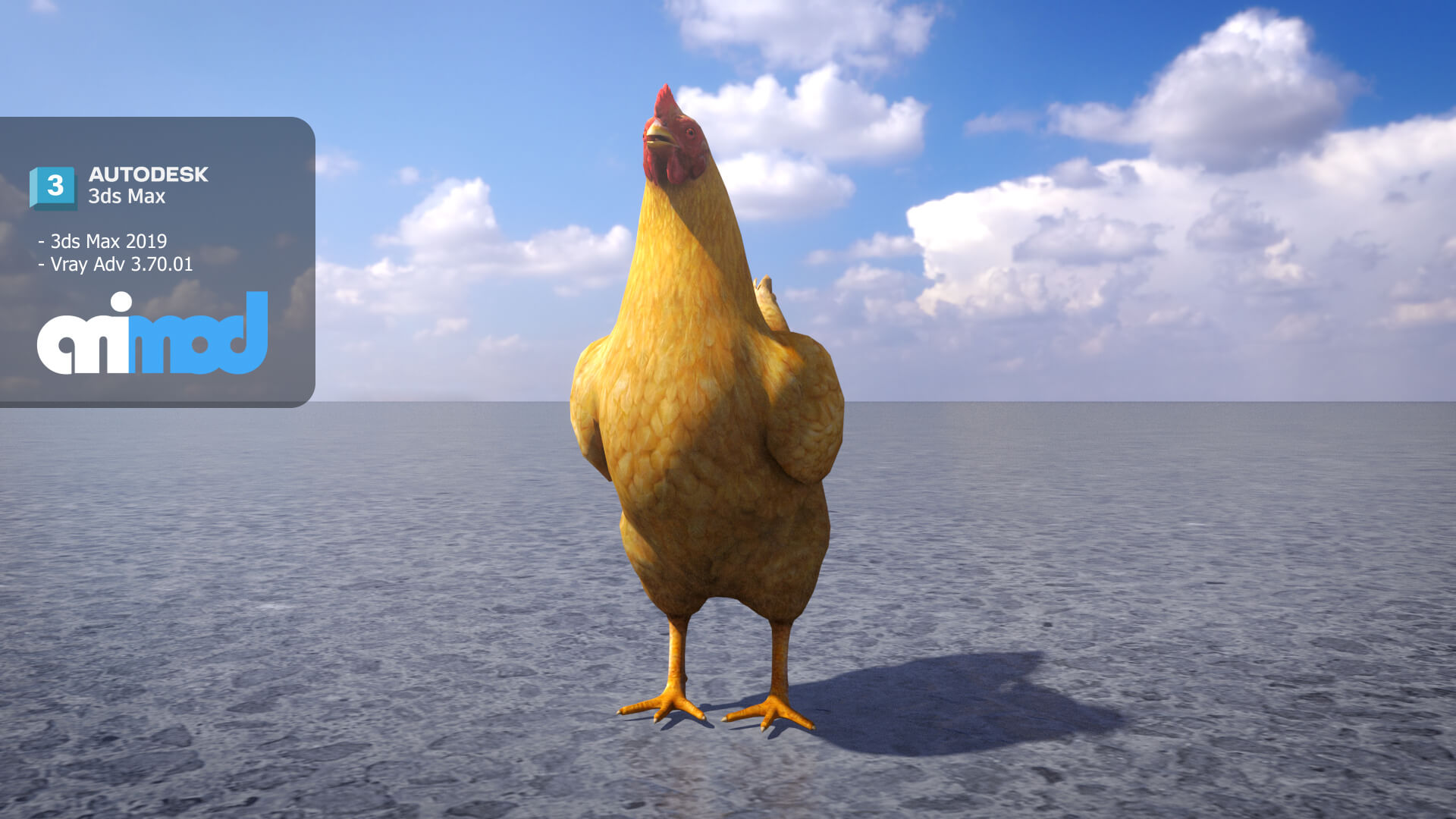 Farm Chicken - 3D Model by animod