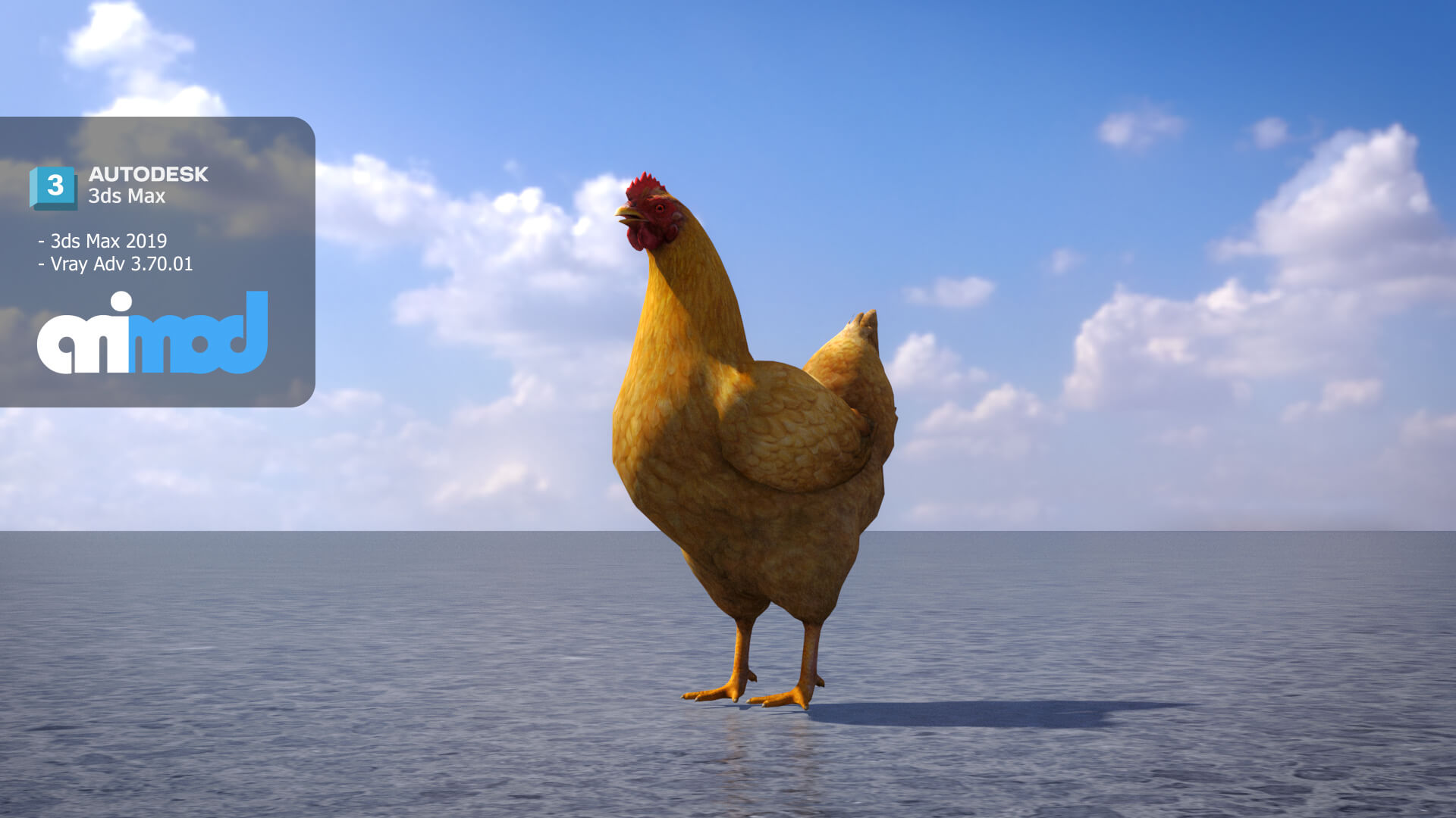 Farm Chicken - 3D Model by animod