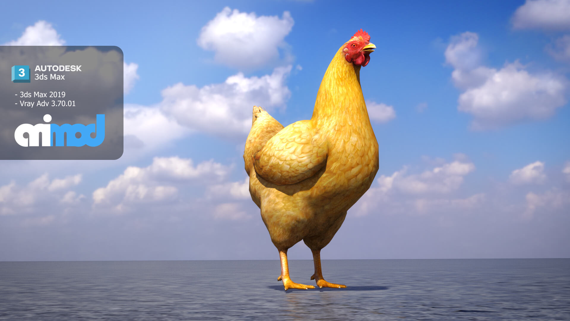 Farm Chicken - 3D Model by animod