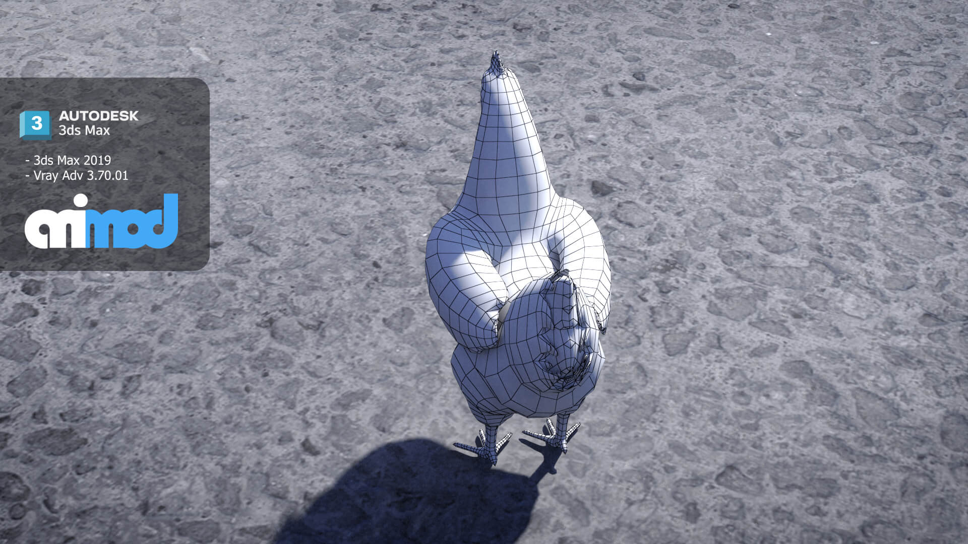 Farm Chicken - 3D Model by animod