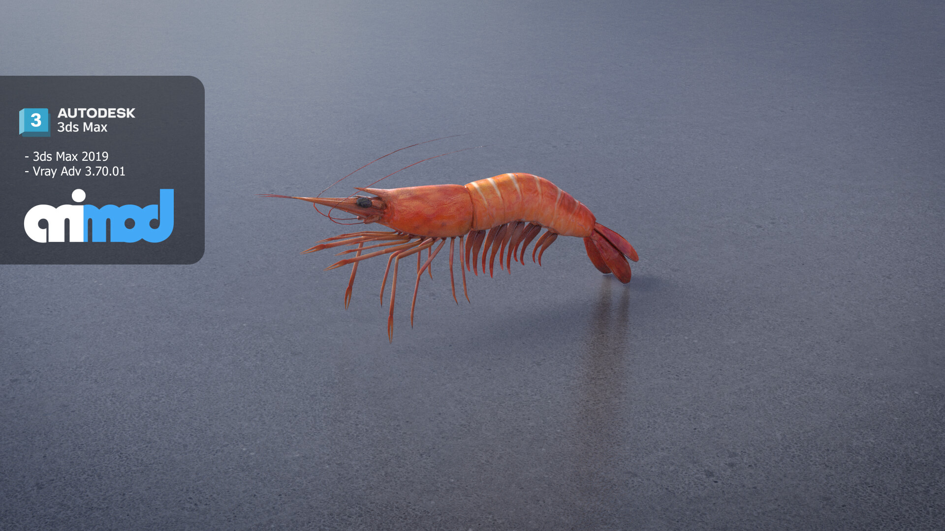 Cooked Shrimp - 3D Model by animod