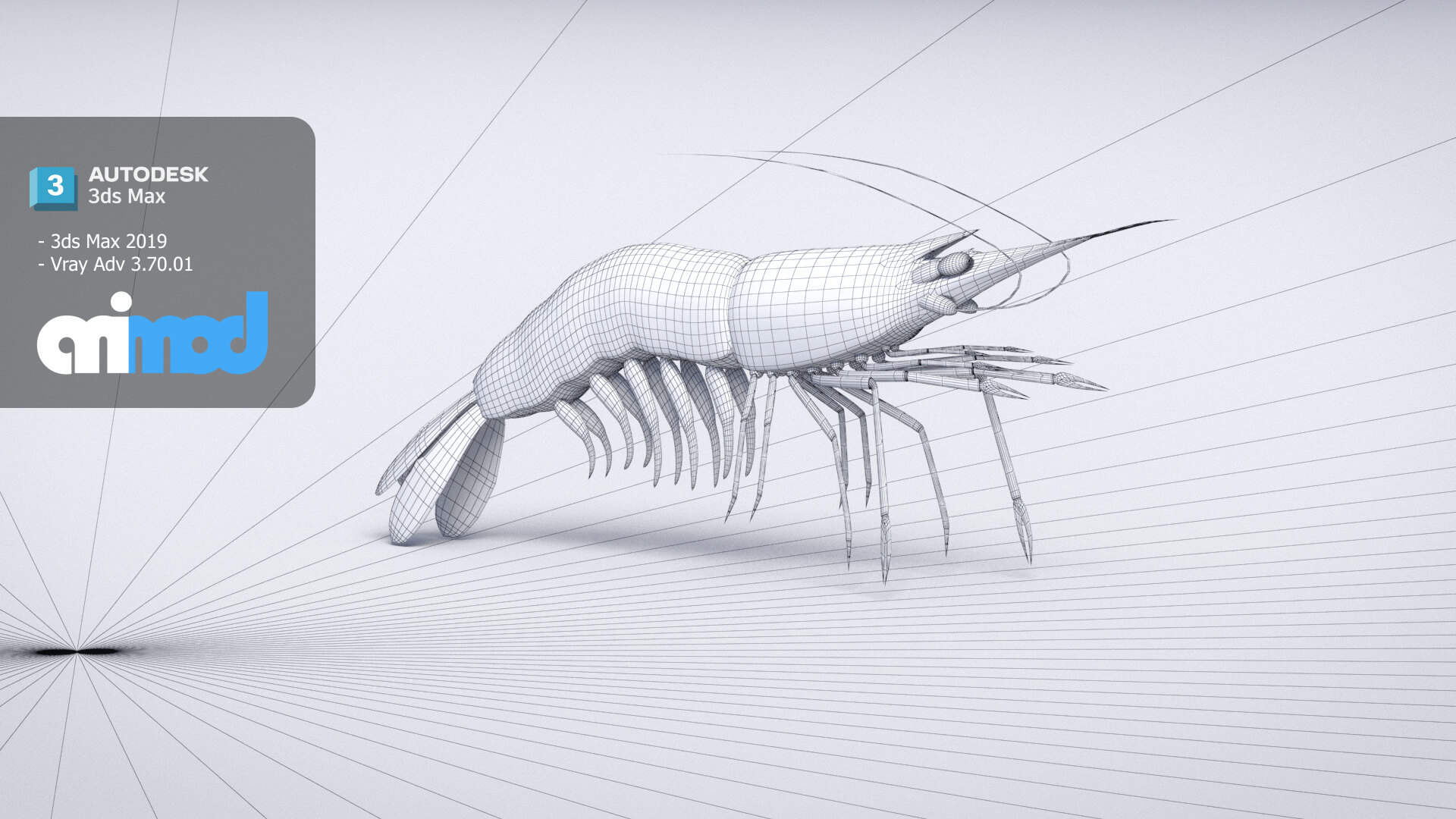 Cooked Shrimp - 3D Model by animod