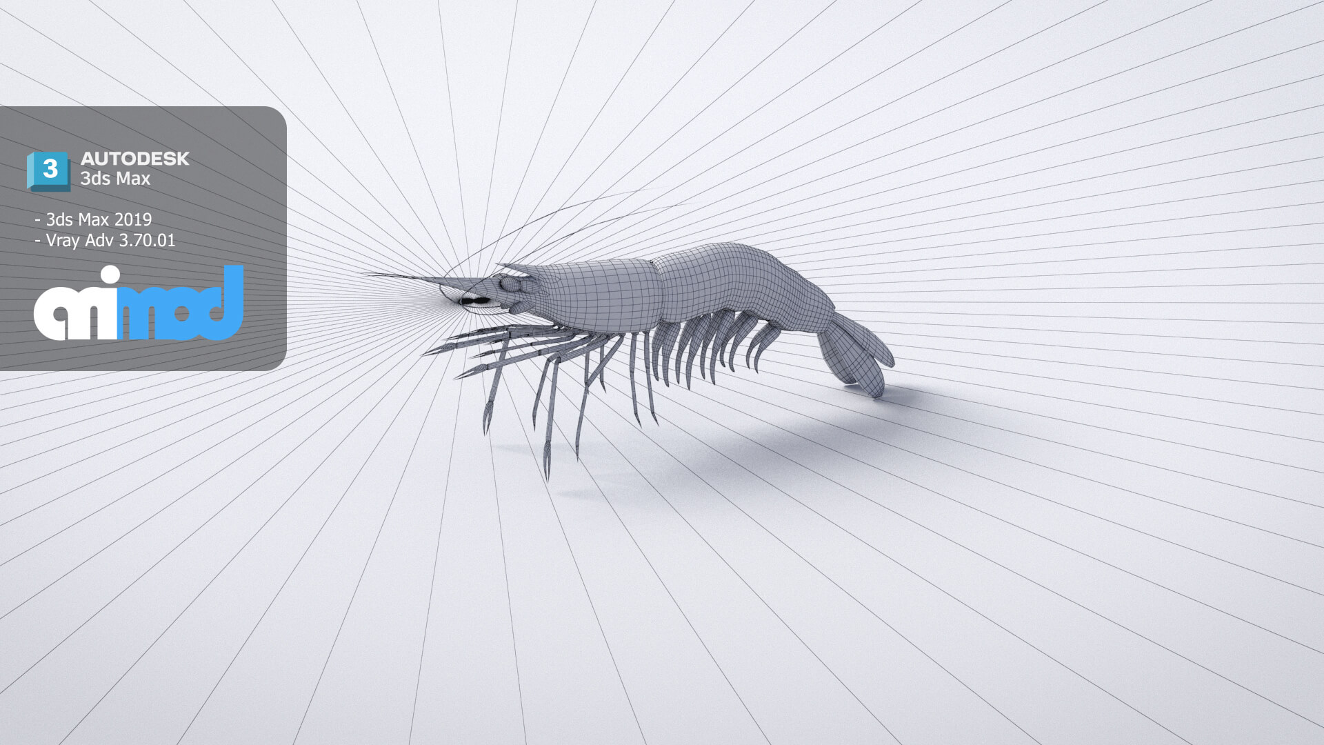 Cooked Shrimp - 3D Model by animod