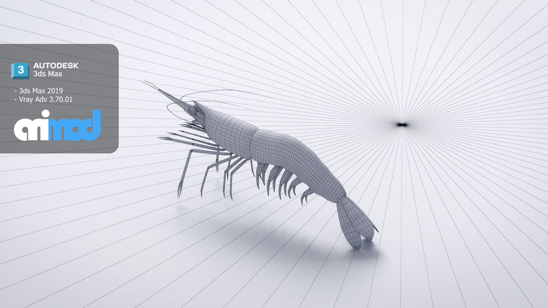 Cooked Shrimp - 3D Model by animod