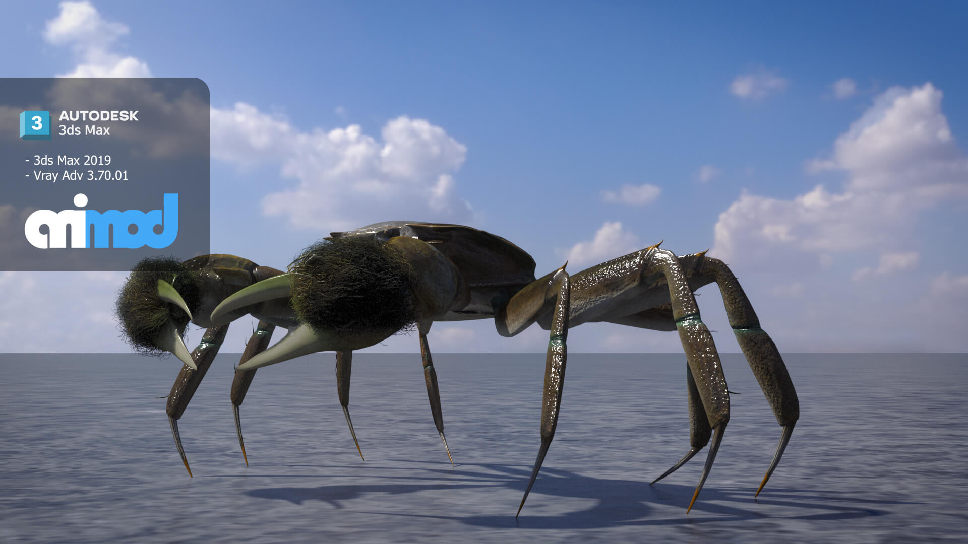 Crab Female Rigged - 3D Model by animod