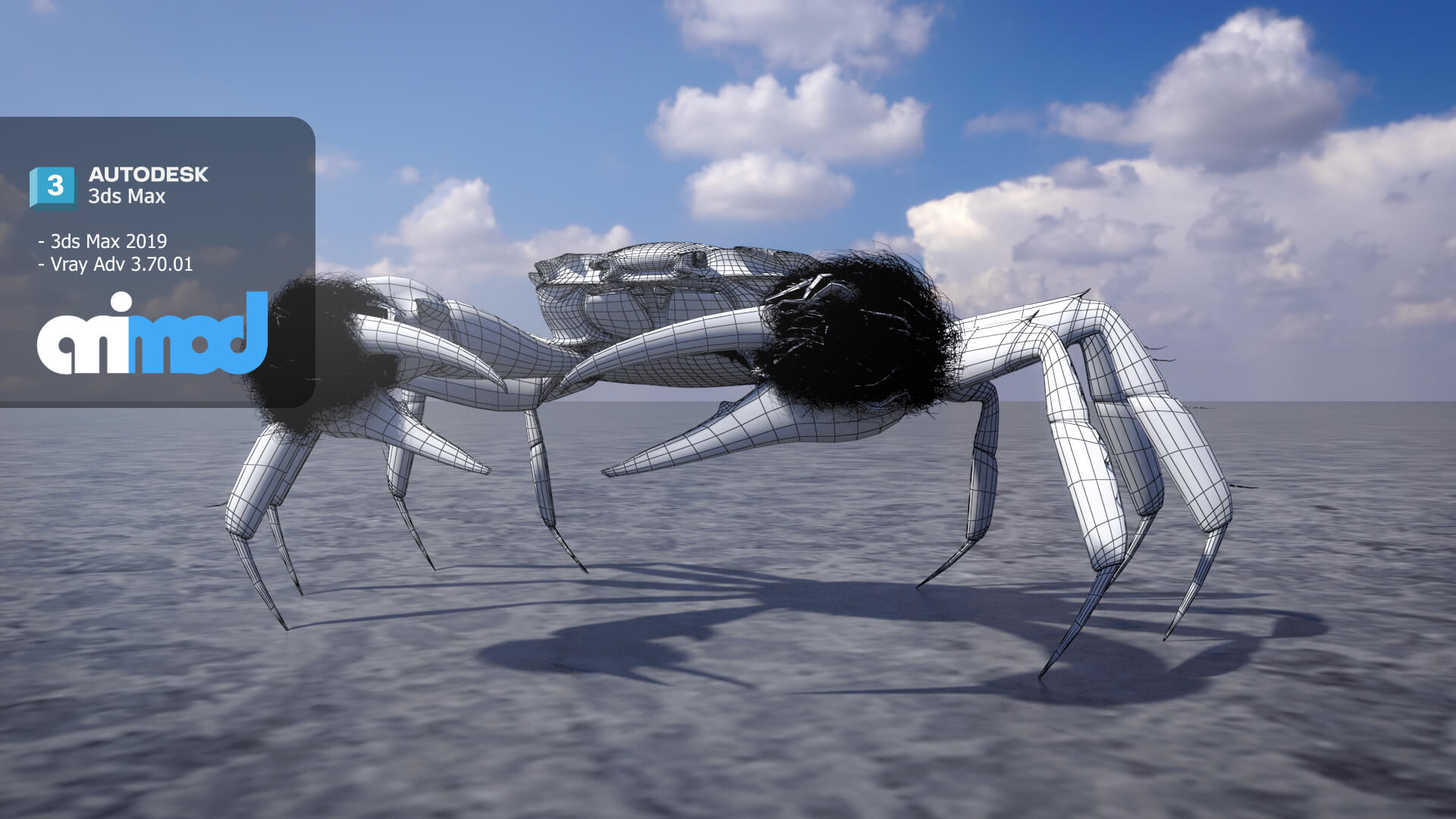 Crab Female Rigged - 3D Model by animod