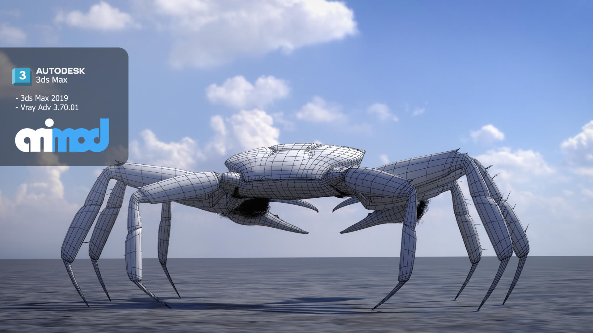 Crab Female Rigged - 3D Model by animod