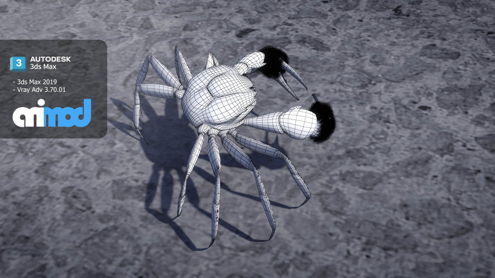 Crab Female Rigged - 3D Model by animod