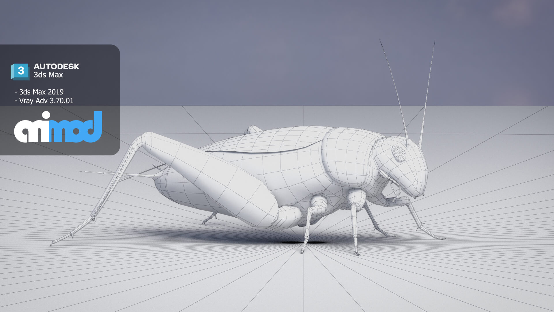 Cricket Insect - 3D Model by animod