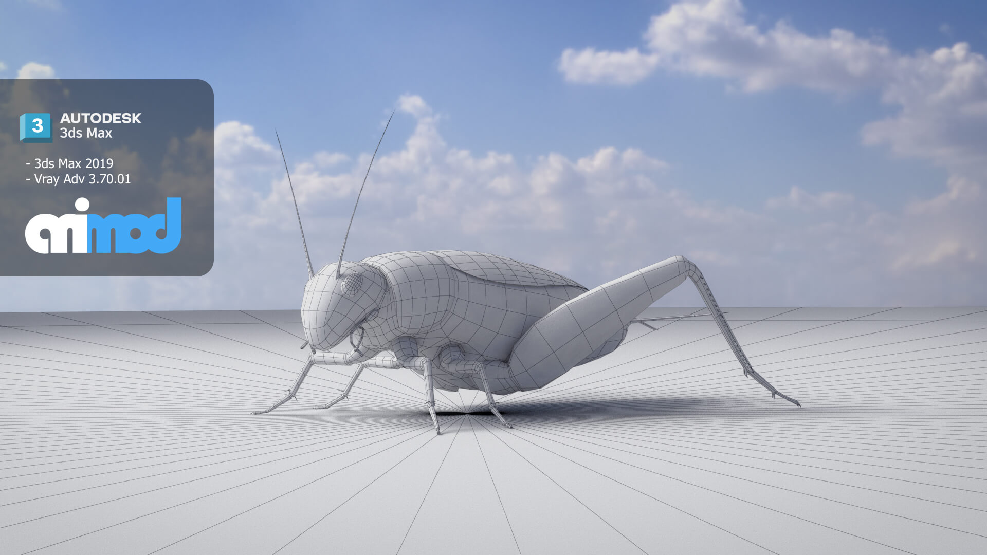 Cricket Insect - 3D Model by animod