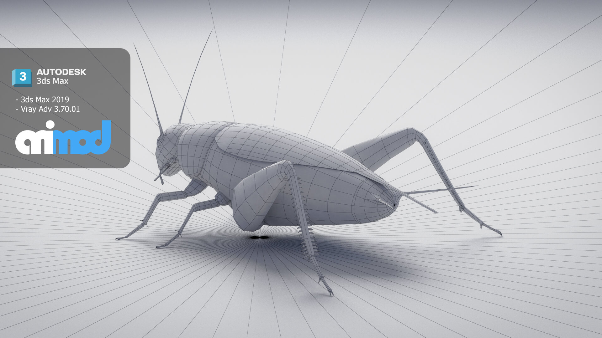 Cricket Insect - 3D Model by animod