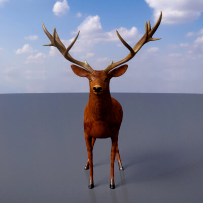 Animal Deer 001 - 3D Model by animod