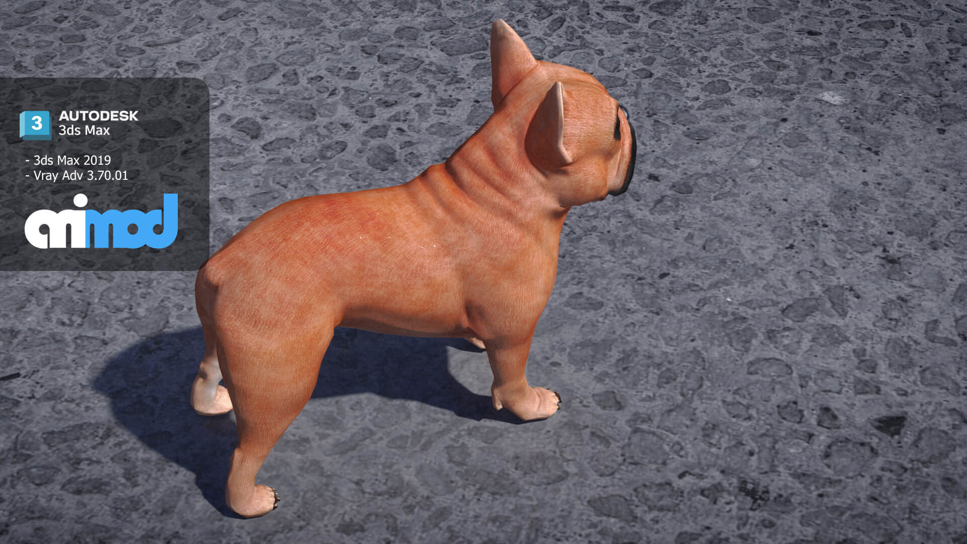 French Bulldog - 3D Model by animod
