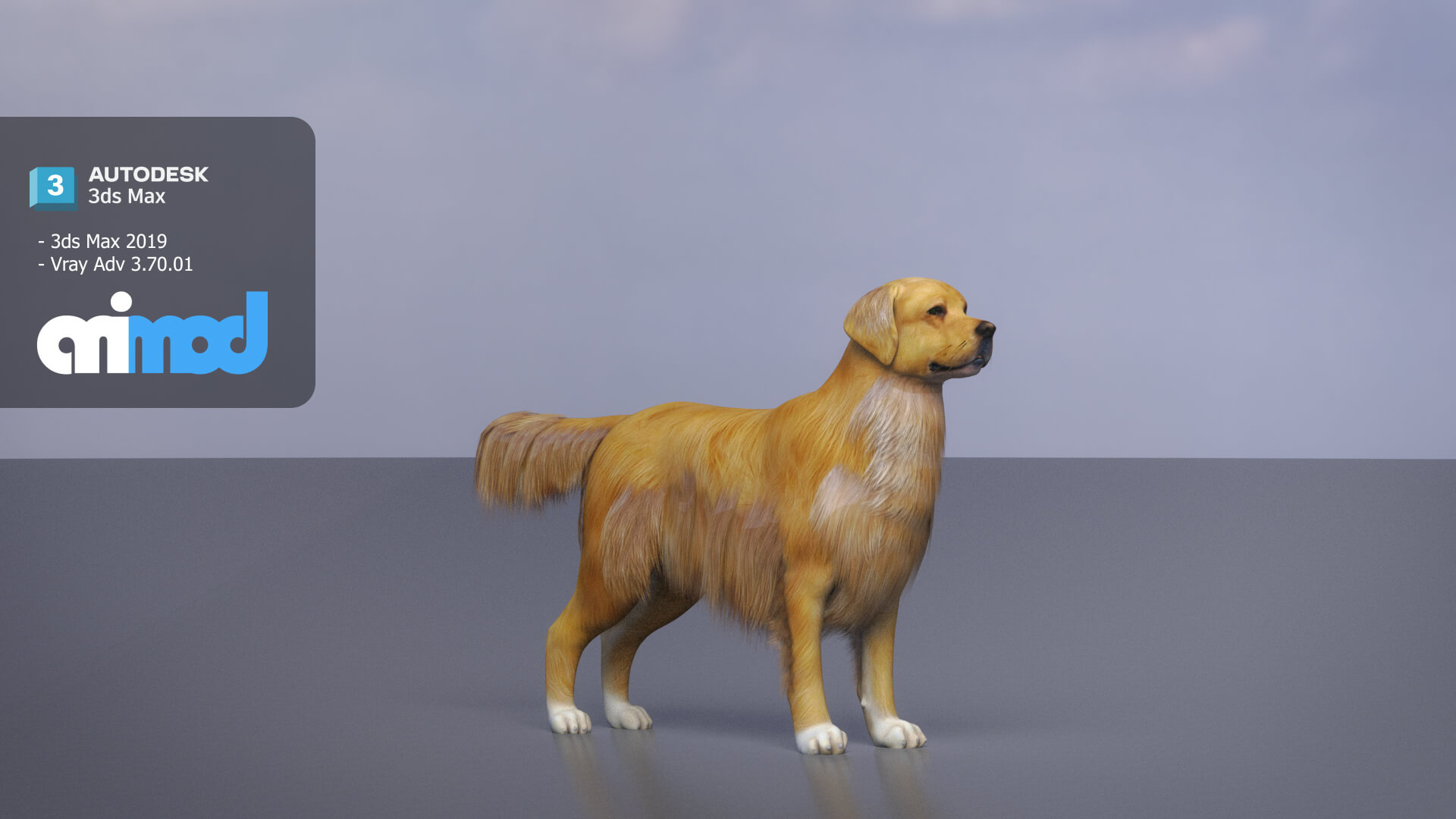 Golden Retriever - 3D Model by animod