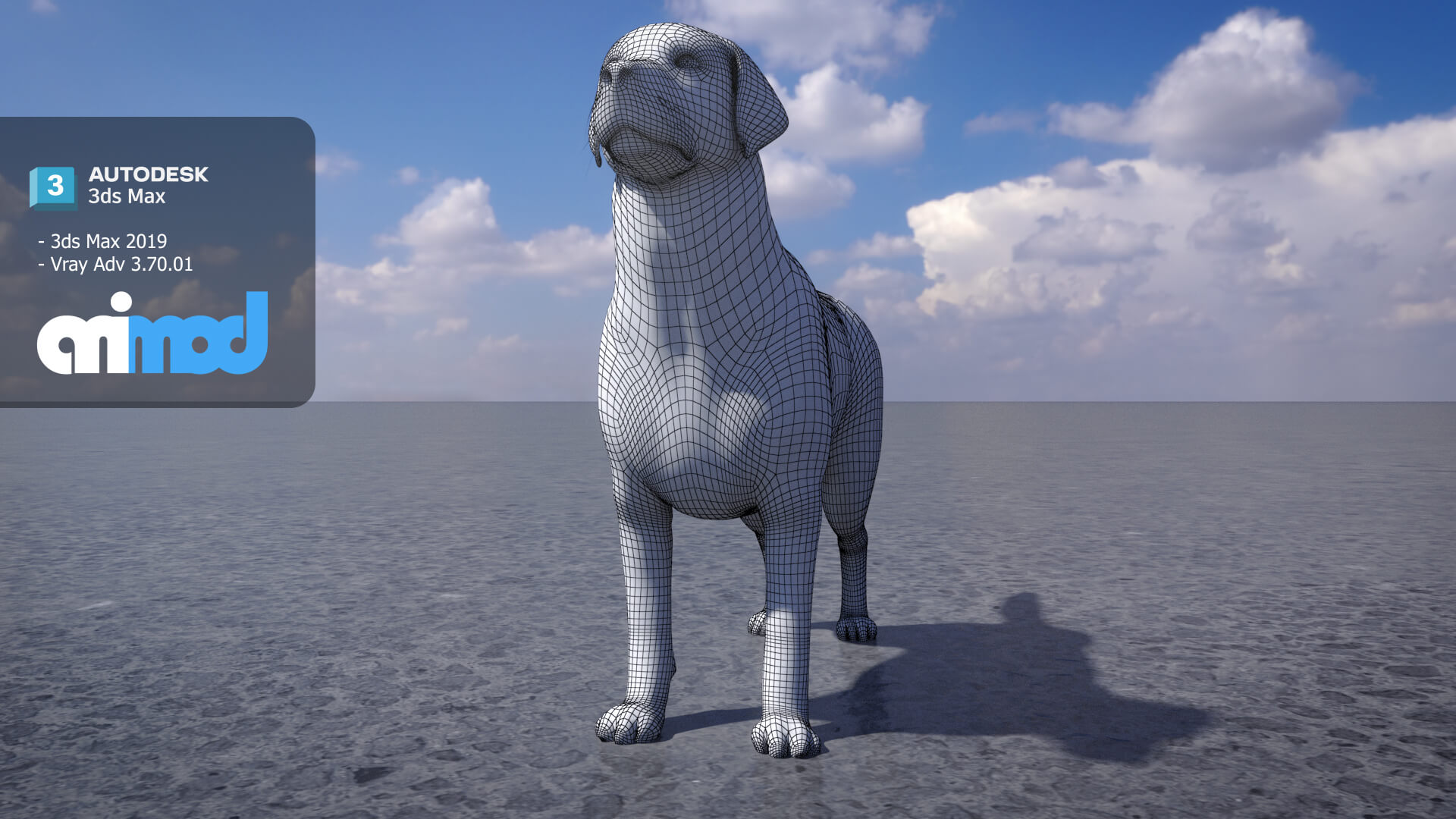 Labrador Retriever - 3D Model by animod
