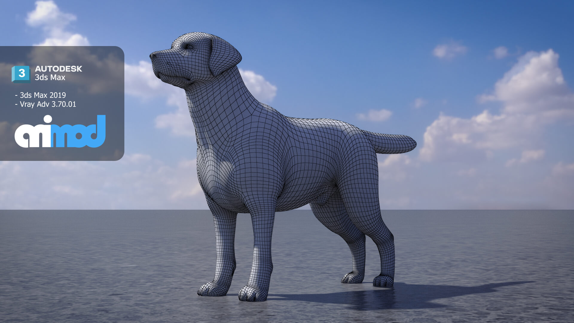 Labrador Retriever - 3D Model by animod